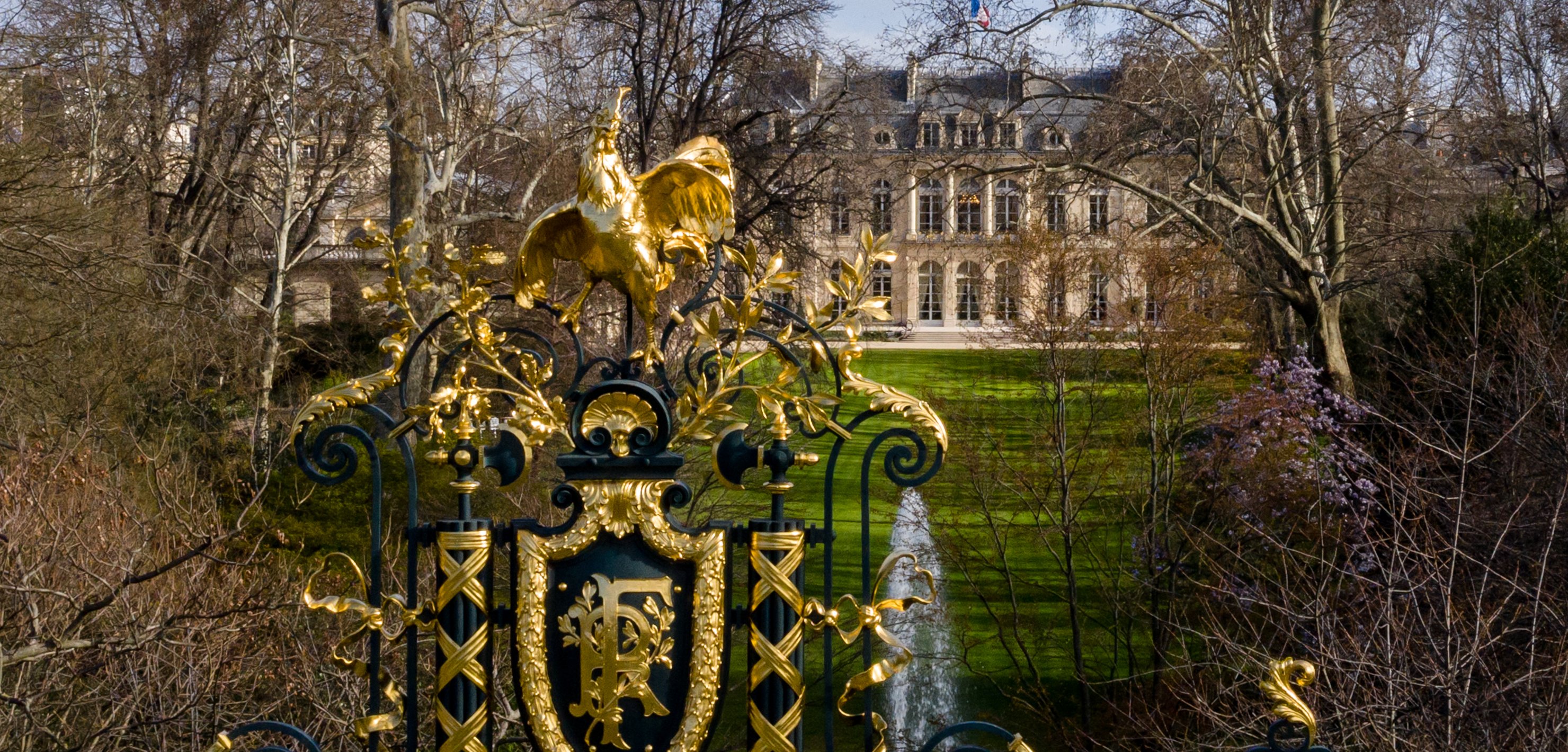 Le coq | Élysée